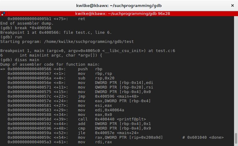 How To See Into 0x4 rsp Register Gdb Satterfield Damend